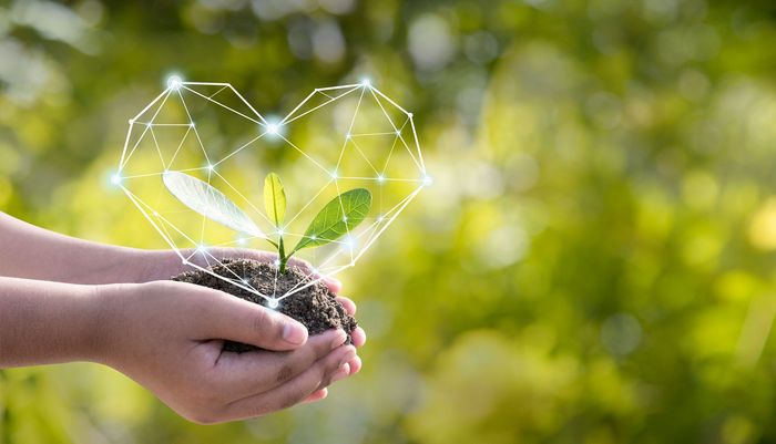 Bright Teams - Cultivating Great Workplace Culture